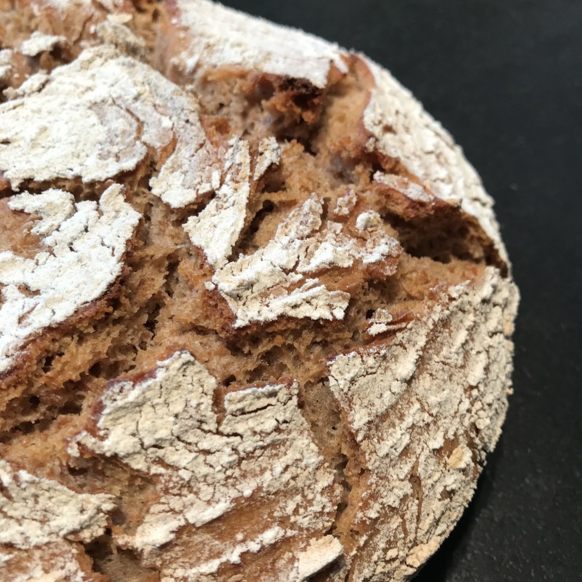 König Ludwig Brot (Sauerteig Rezept) – 25.stunden.BROT